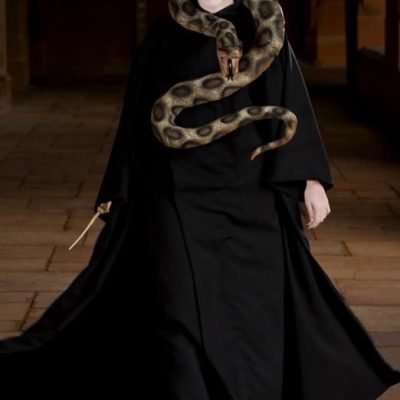 Dress Like Lord Voldemort Costume | Halloween and Cosplay Guides