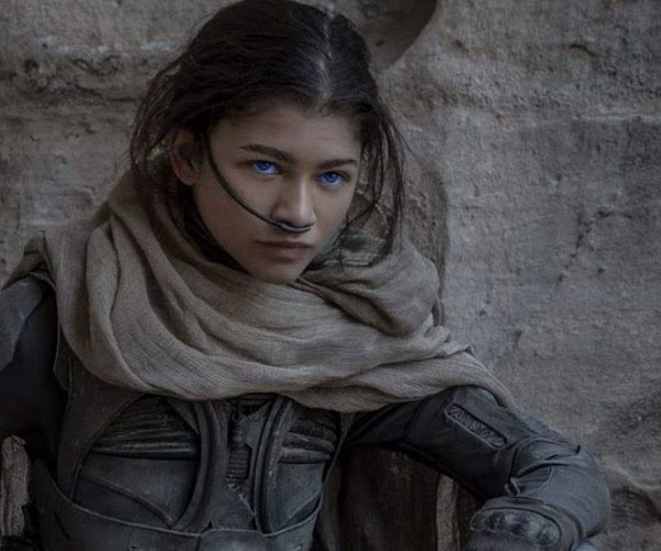 Dune Costume and DIY Cosplay Ideas | Costume Wall